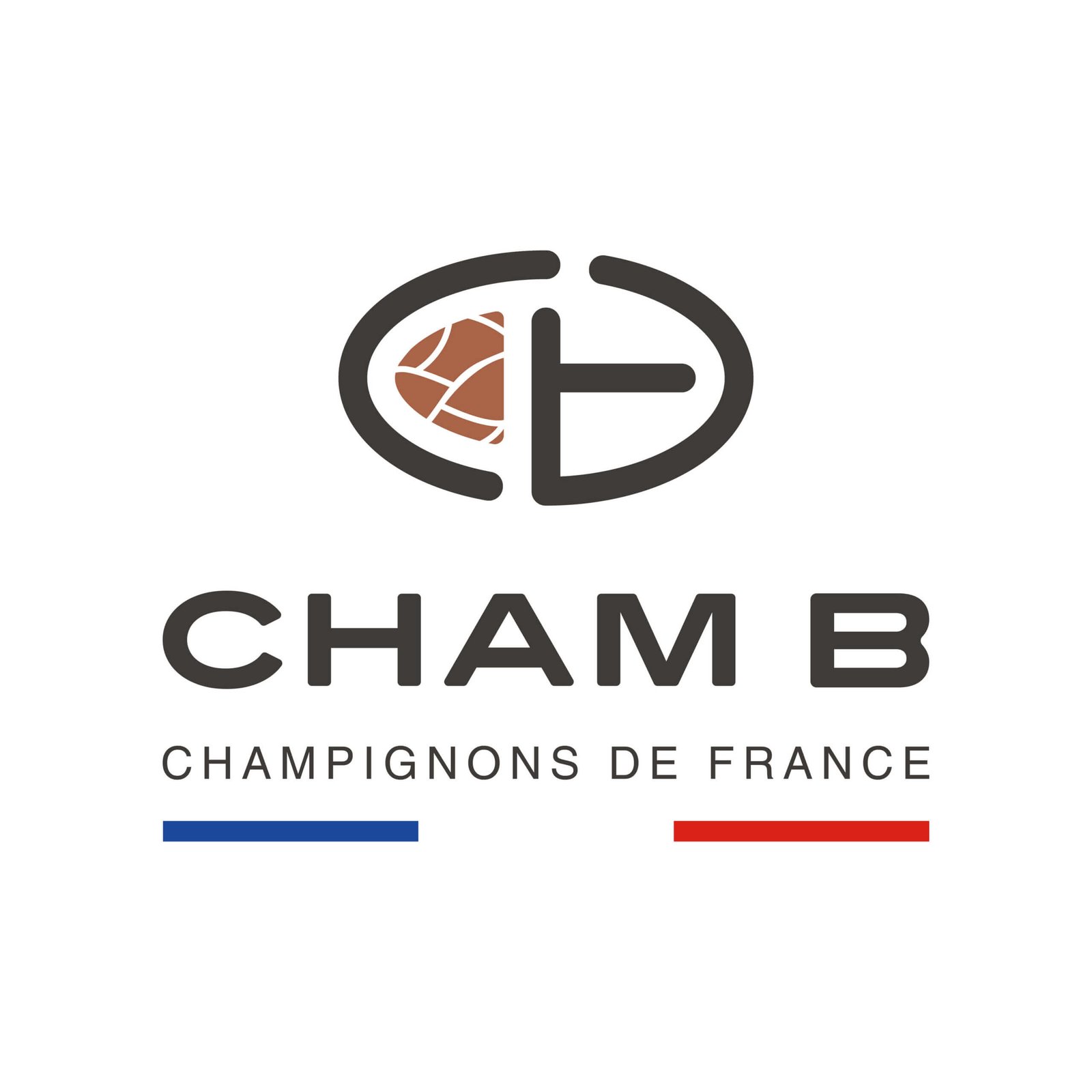 Quality mushrooms for a healthy future - Cham B